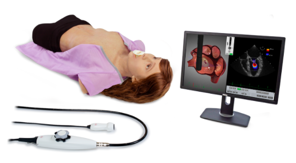 PoCUS | Point-of-Care Ultrasound | Neuraxiom